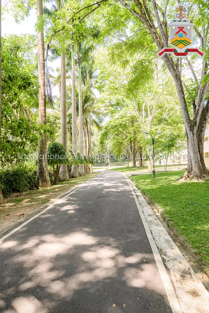 Gallery - The National Seminary of Our Lady of Lanka Ampitiya
